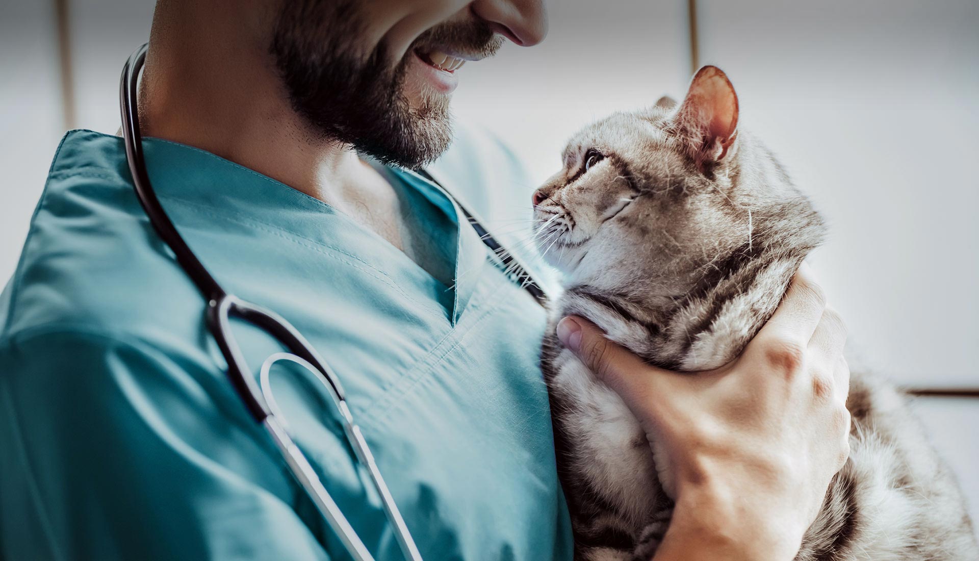 Hospital Veterinario Niteroi